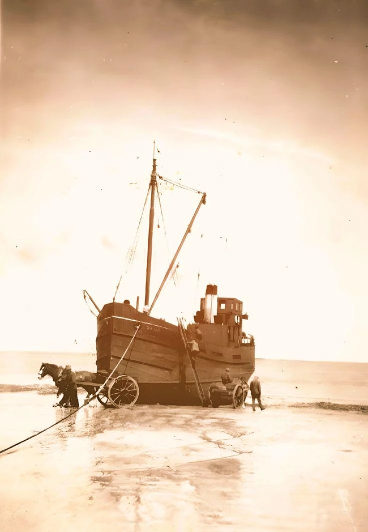 SS Druid | Maritime Enyclopedia | Fandom