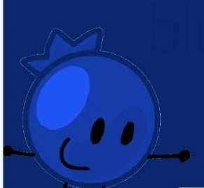 Blueberry | Object Chaos Wiki | Fandom