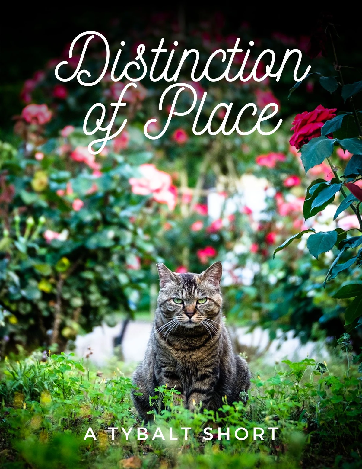 Distinction of Place | October Daye Wiki | Fandom