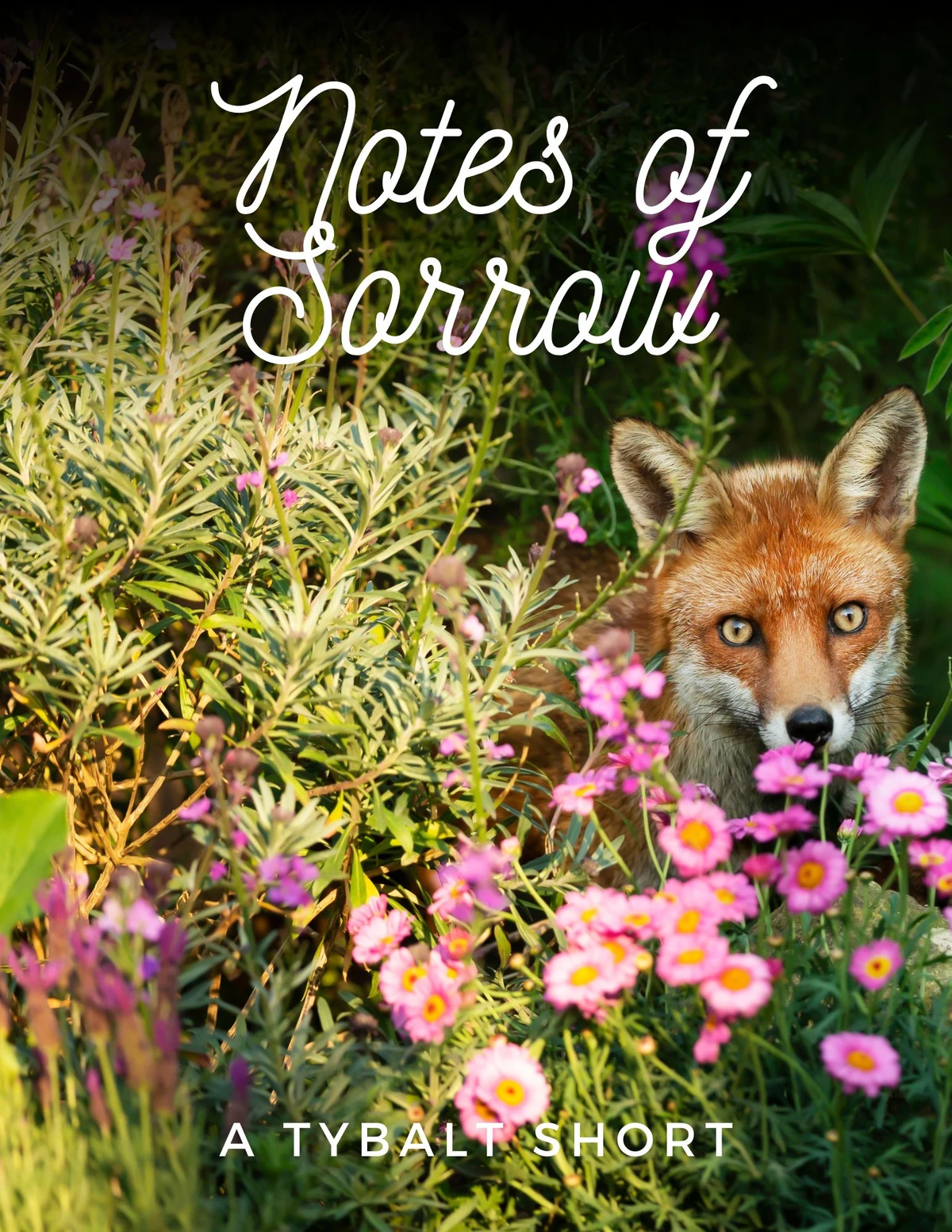 Notes of Sorrow | October Daye Wiki | Fandom