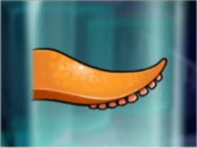 Arms | Octogeddon Wiki | Fandom