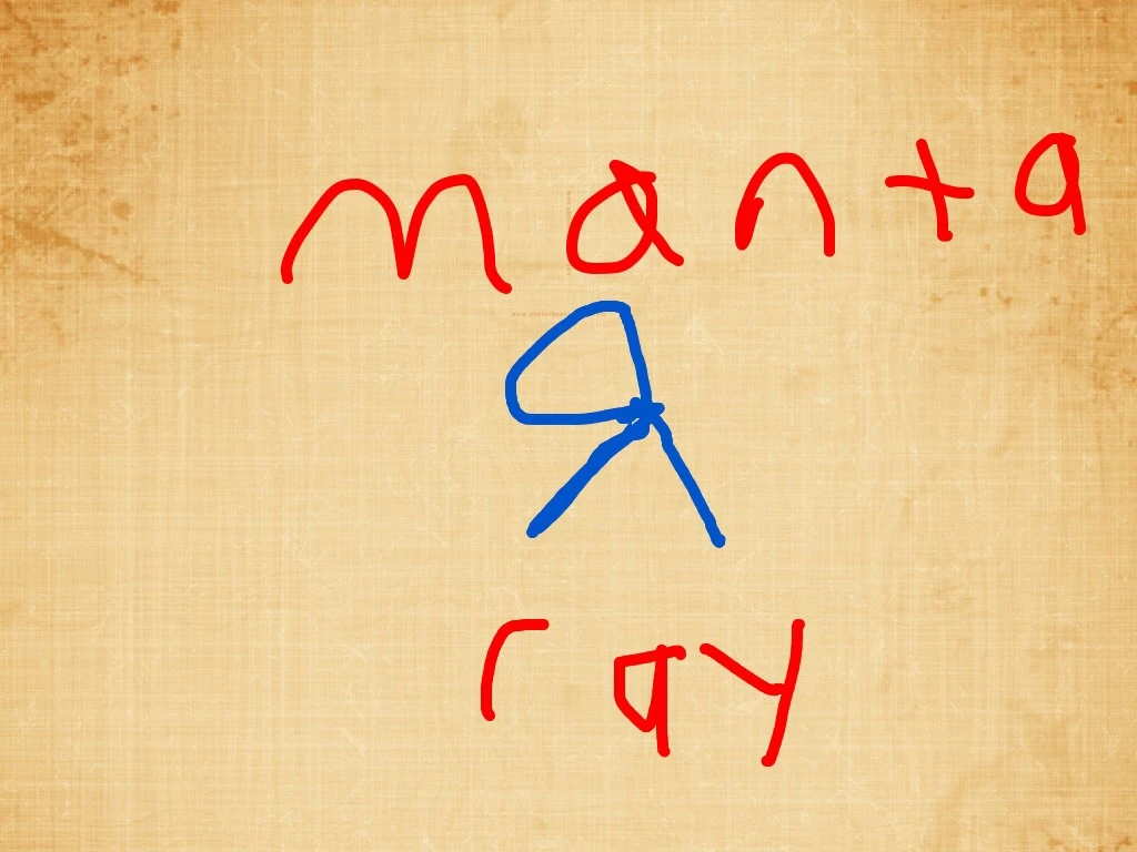 Manta r ray | Octonauts fanon Wiki | Fandom