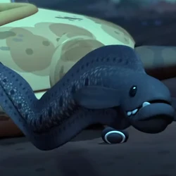 Categoryeels Octonauts Wiki Fandom Powered By Wikia