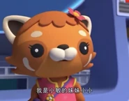 Octonauts: Journey to China | Octonauts Wiki | Fandom