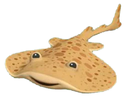 Ray | Octonauts Wiki | Fandom