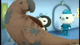 The Enormous Elephant Seal | Octonauts Wiki | Fandom