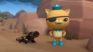 Kwazii/gallery | Octonauts Wiki | Fandom