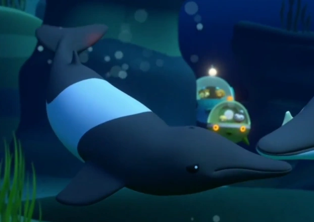 Marco the Spade-Toothed Whale | Octonauts Wiki | Fandom