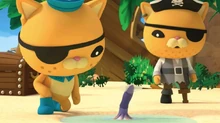 Season 5/gallery | Octonauts Wiki | Fandom