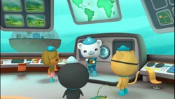 Peso Penguingallery Octonauts Wiki Fandom Powered By