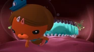 Dashi/gallery | Octonauts Wiki | Fandom