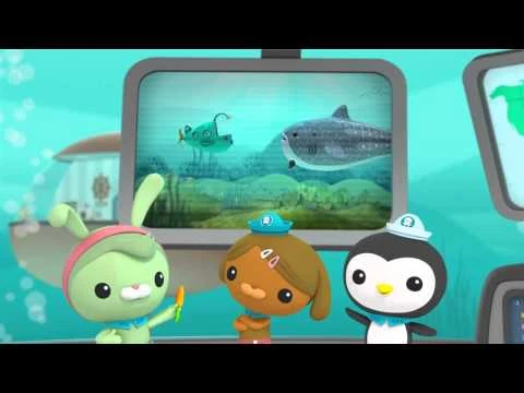 Creature Report | Octonauts Wiki | Fandom