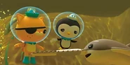 Kwazii/gallery | Octonauts Wiki | Fandom