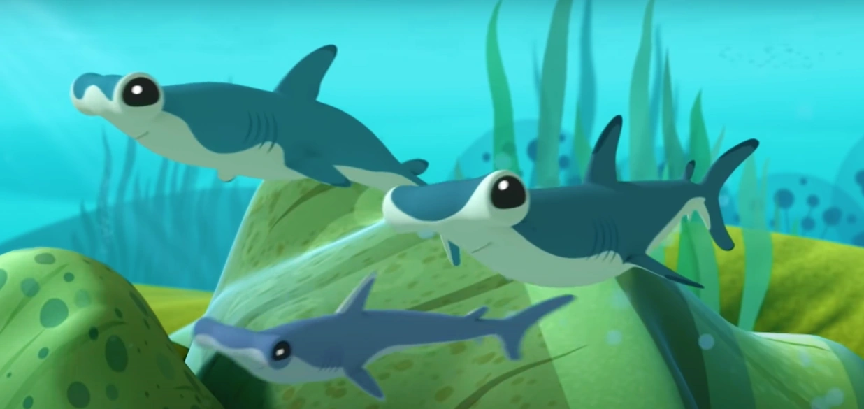 Hammerhead Shark Pups