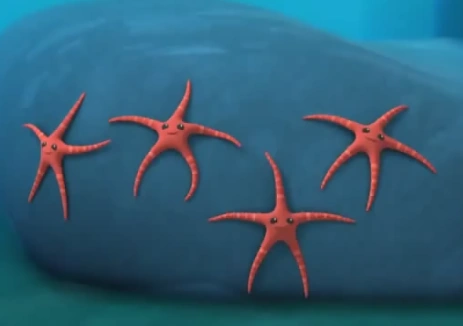 Brittle Star | Octonauts Wiki | Fandom