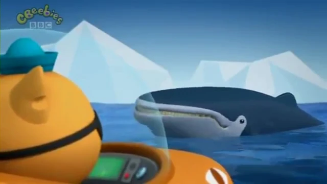 The Humpback Whales/gallery | Octonauts Wiki | Fandom