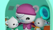 Orson and Ursa | Octonauts Wiki | Fandom