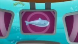 Creature Report - Whale Shark | Octonauts Wiki | Fandom