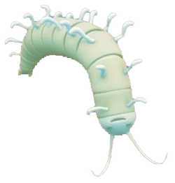 Remipedes | Octonauts Wiki | Fandom