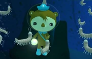 Remipedes | Octonauts Wiki | Fandom