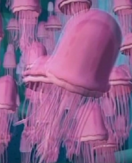 Sea Nettle Jellyfish | Octonauts Wiki | Fandom