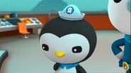 Peso/gallery | Octonauts Wiki | Fandom