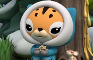 Haraka | Octonauts Wiki | Fandom