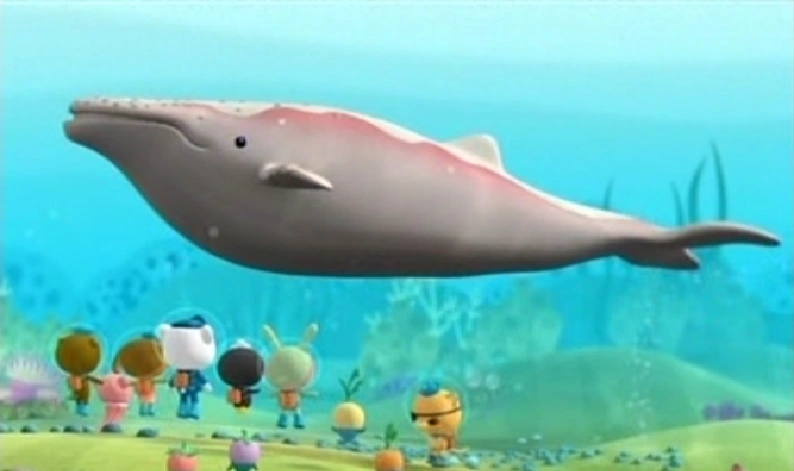Octonauts creature report albino humpback whale - kerynitro