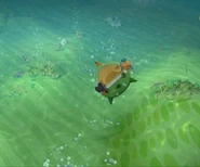 The Sunfish/gallery | Octonauts Wiki | Fandom