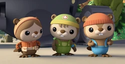 Steve | Octonauts Wiki | Fandom