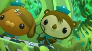Shellington | Octonauts Wiki | Fandom