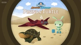 The Pininga Turtle/gallery | Octonauts Wiki | Fandom