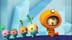 Octonauts Shellington Sea Otter