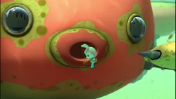 Octonauts Algae