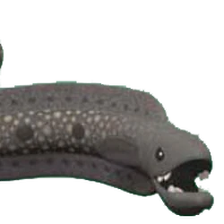 Categoryeels Octonauts Wiki Fandom Powered By Wikia