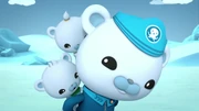 Orson and Ursa | Octonauts Wiki | Fandom