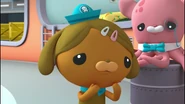 Dashi/gallery | Octonauts Wiki | Fandom