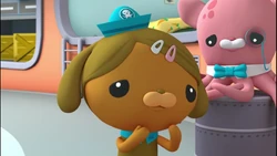 Octonauts Dashi