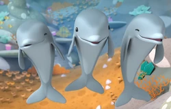Dolphins | Octonauts Wiki | Fandom