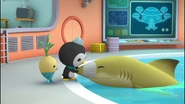 Peso/gallery | Octonauts Wiki | Fandom