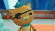 Kwazii/gallery | Octonauts Wiki | Fandom