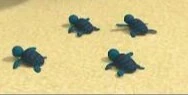 Baby Sea Turtle | Octonauts Wiki | Fandom