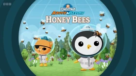 The Honeybees | Octonauts Wiki | Fandom