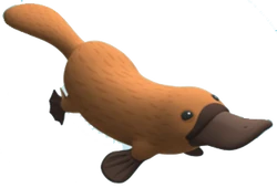 Platypus | Octonauts Wiki | Fandom