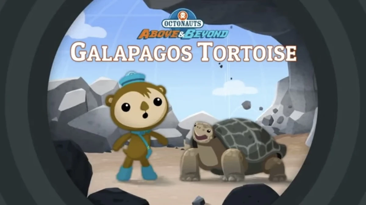 The Galapagos Tortoise | Octonauts Wiki | Fandom