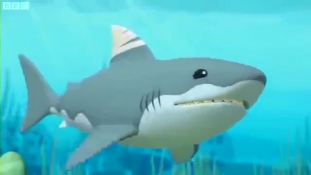 The Great White Shark/gallery | Octonauts Wiki | Fandom