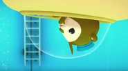 Gup-D | Octonauts Wiki | Fandom
