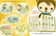 Tunip the Vegimal/gallery | Octonauts Wiki | Fandom