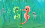 The Seahorse Tale/gallery | Octonauts Wiki | Fandom