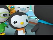 Pinto/Gallery | Octonauts Wiki | Fandom